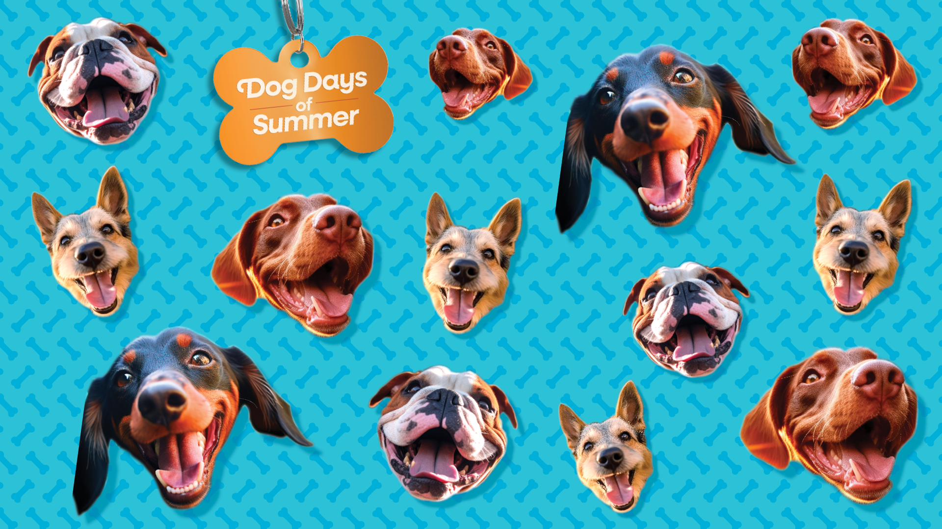 Dog Days of Summer - Reward Yourself. - MarathonArcoRewards.com